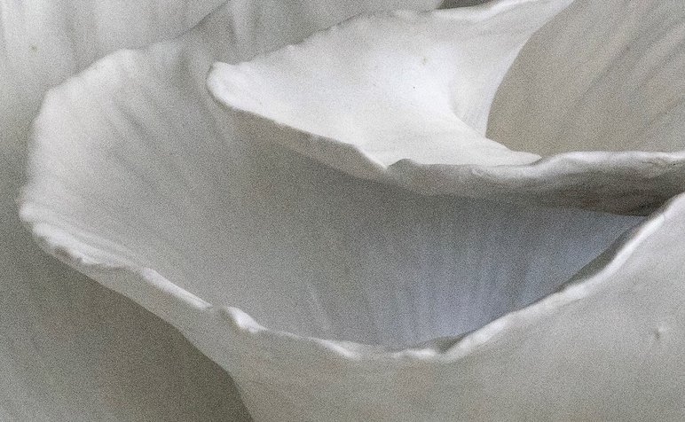 What's On at Craft | Craft Victoria